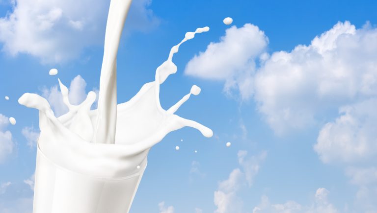 Milk cream separator machine for milk skimming - SEPARATECH